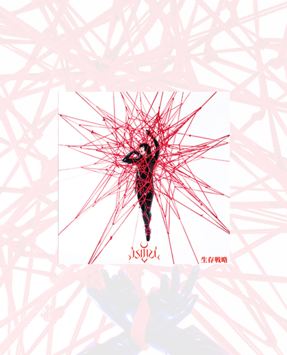 Seizon Senryaku CD Unsigned | Isiliel