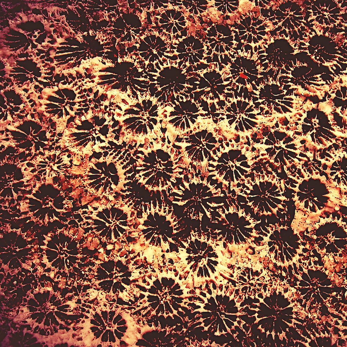 Displaced | Largo Sound