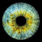 MSMSMSM | SOPHIE | Numbers