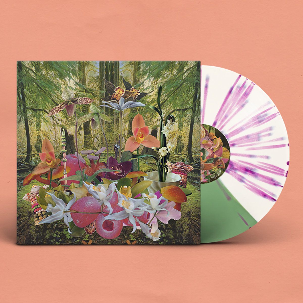 Return to Paradise | Monster Rally