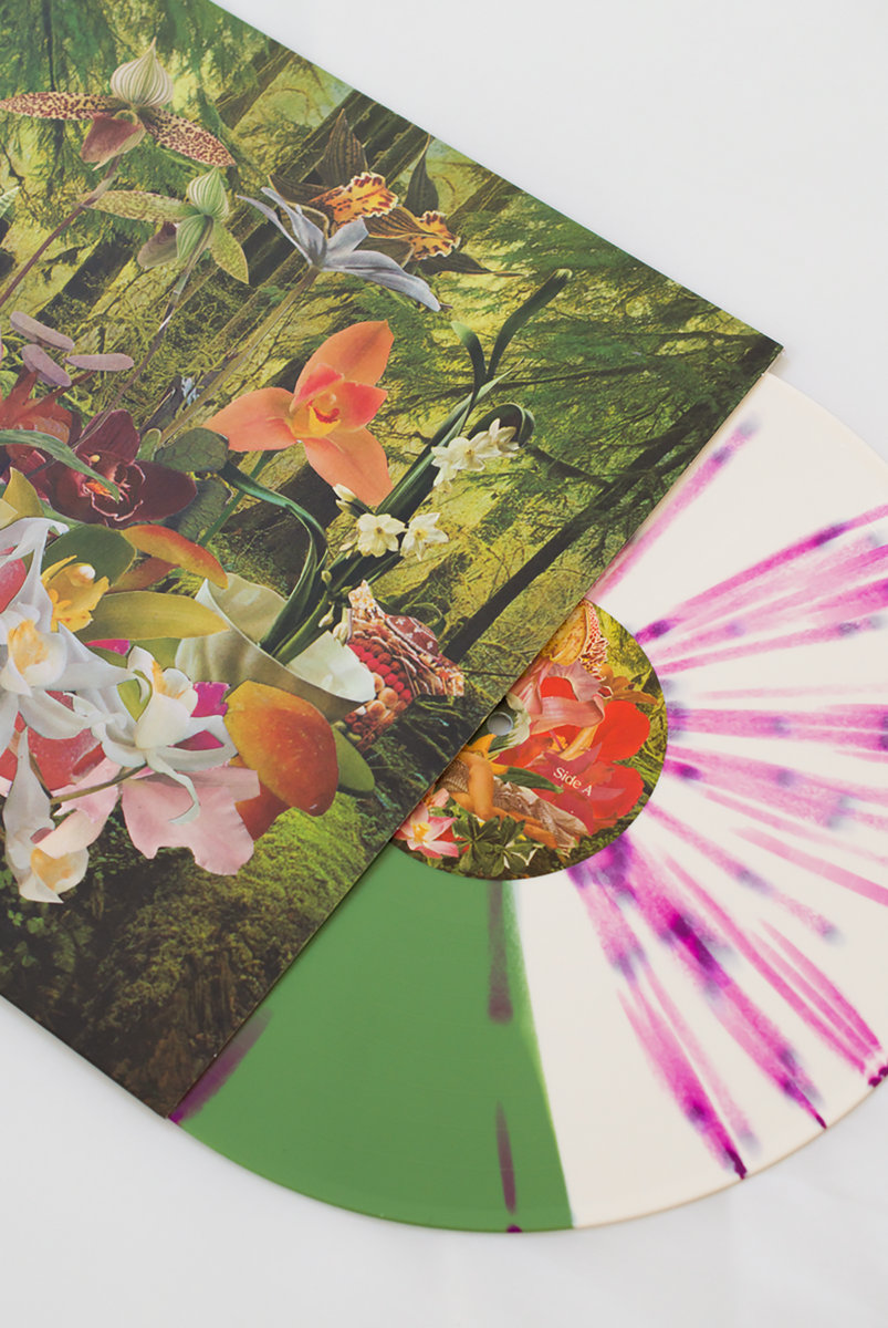 Return to Paradise | Monster Rally