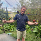 Step on Step | Charles Stepney | International Anthem