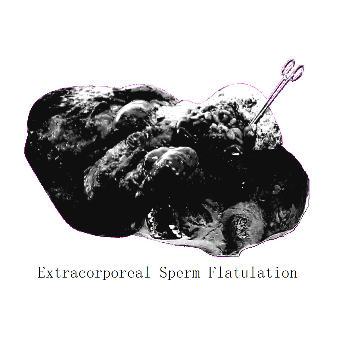 An Ever Flowing Stream of Floaters and Other Decomps Alike EP ...