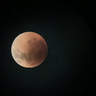 The Patient Demos | Blacklit Canopy