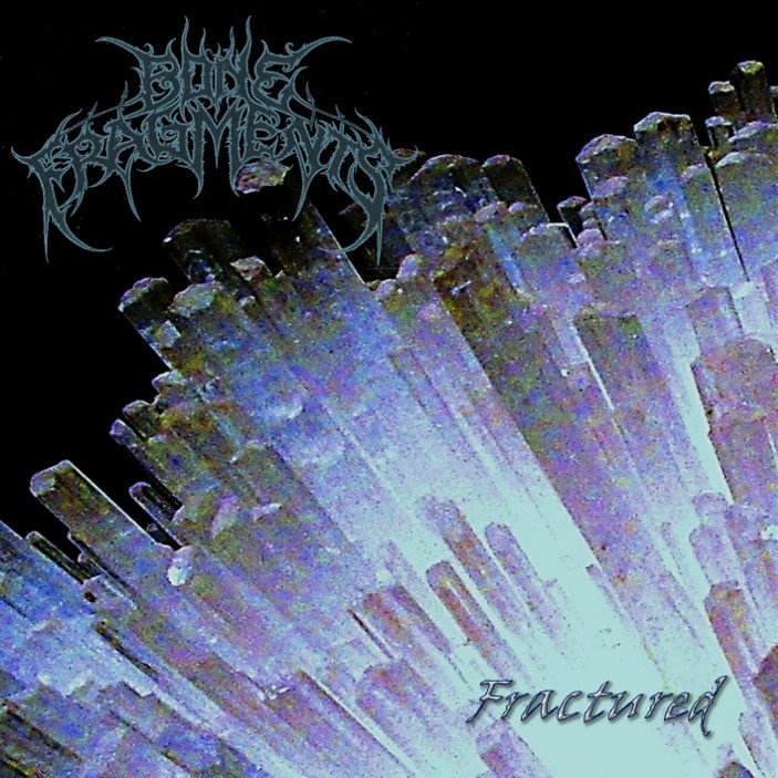 Fractured | Bone Fragments