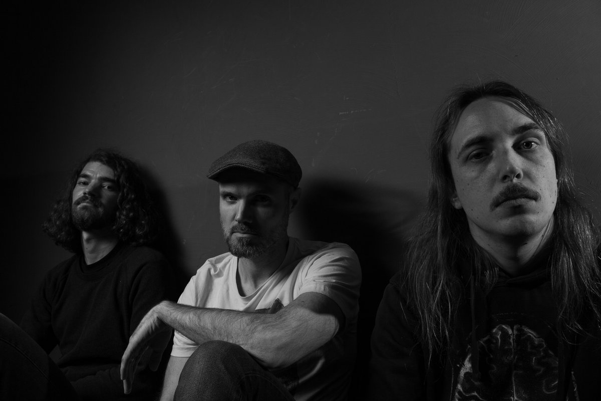 Types Of Apes | Types Of Apes