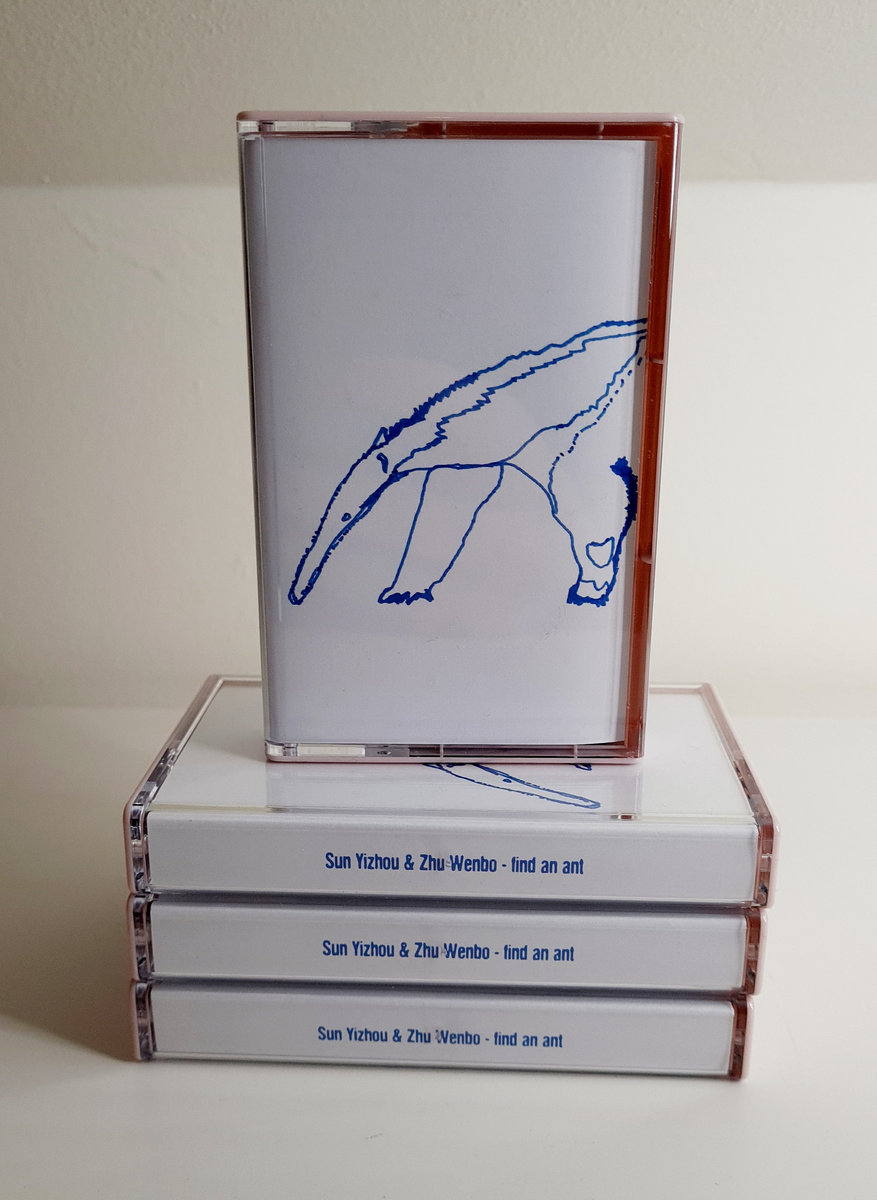 Find An Ant | Sun Yizhou & Zhu Wenbo | Steep Gloss