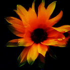 13 Angels Standing Guard 'Round The Side Of Your Bed | A Silver Mt ...