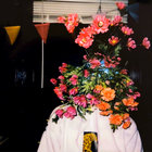 Deep Sage | Gouge Away