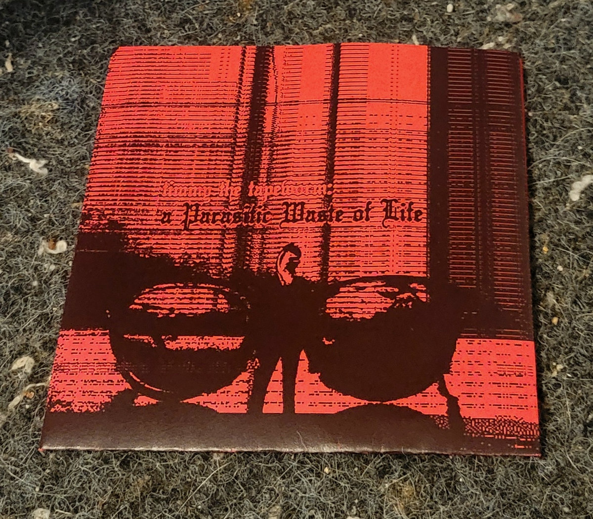 A Parasitic Waste of Life | Timmy the Tapeworm