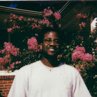 Ants From Up There | Black Country, New Road