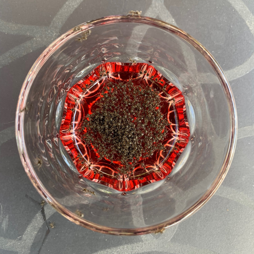 simon_naish's collection | Bandcamp