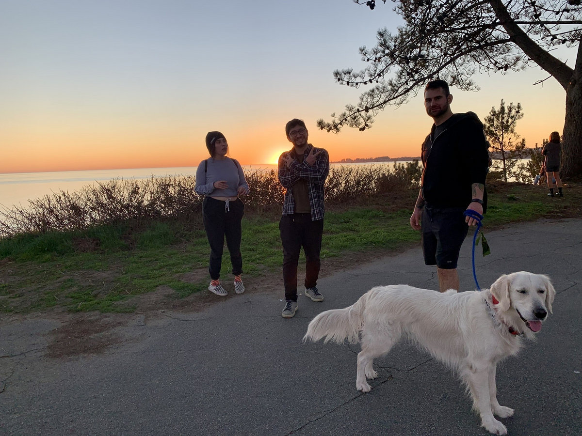 Blooming | Cherrystone