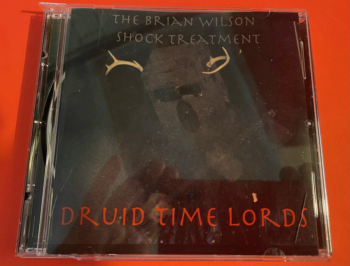 Druid Time Lords | The Brian Wilson SHock TReatment