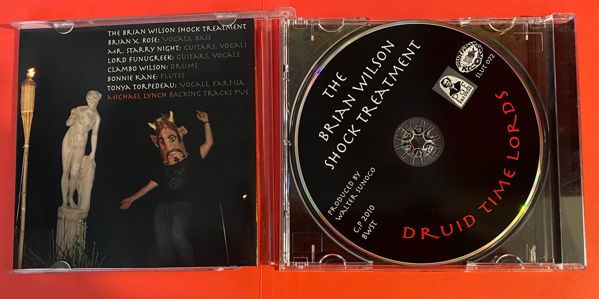 Druid Time Lords | The Brian Wilson SHock TReatment