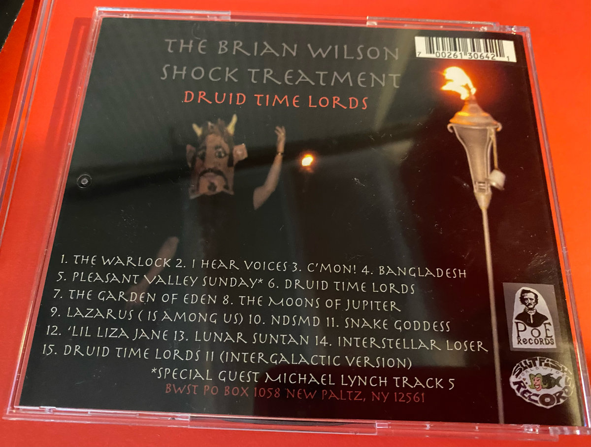 Druid Time Lords | The Brian Wilson SHock TReatment