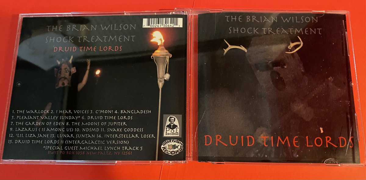 Druid Time Lords | The Brian Wilson SHock TReatment