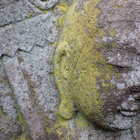 The Manic Excessive Sounds Of | The Warlocks