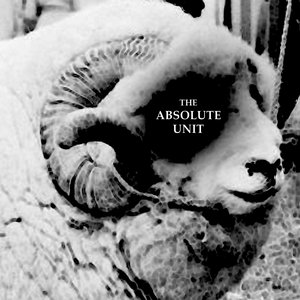 Music | The Absolute Unit