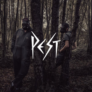 Music | PEST
