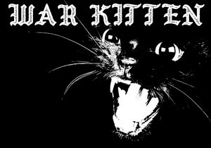Music | War Kitten