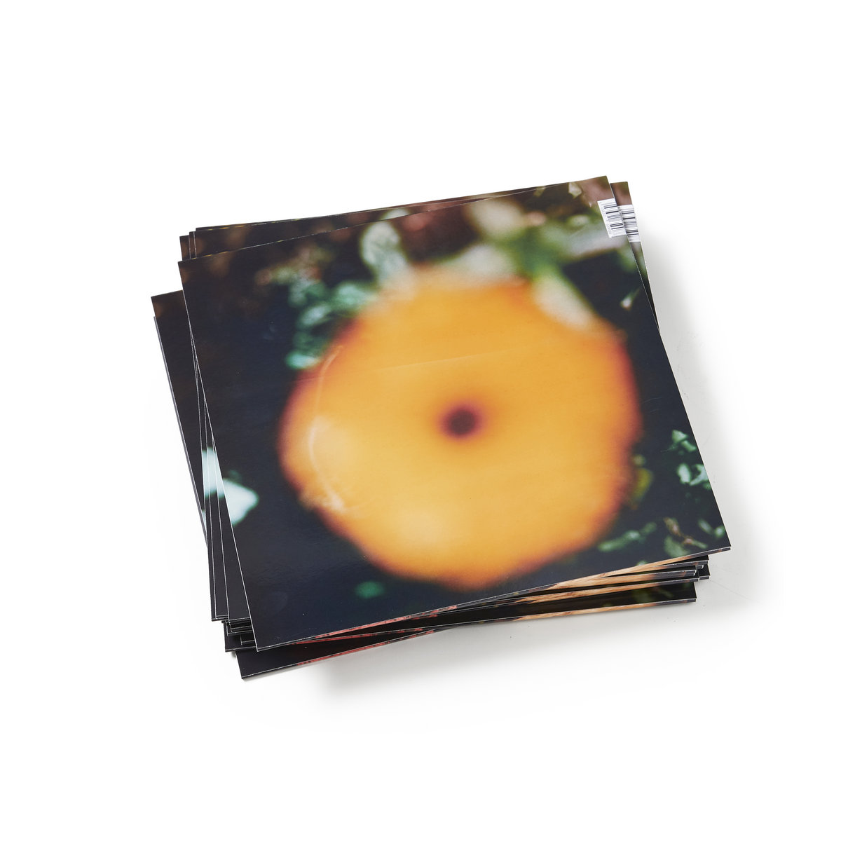 Together | Frederik Valentin & Loke Rahbek