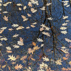 The Rojava Documents (ثورة مستمرة) | modest by default