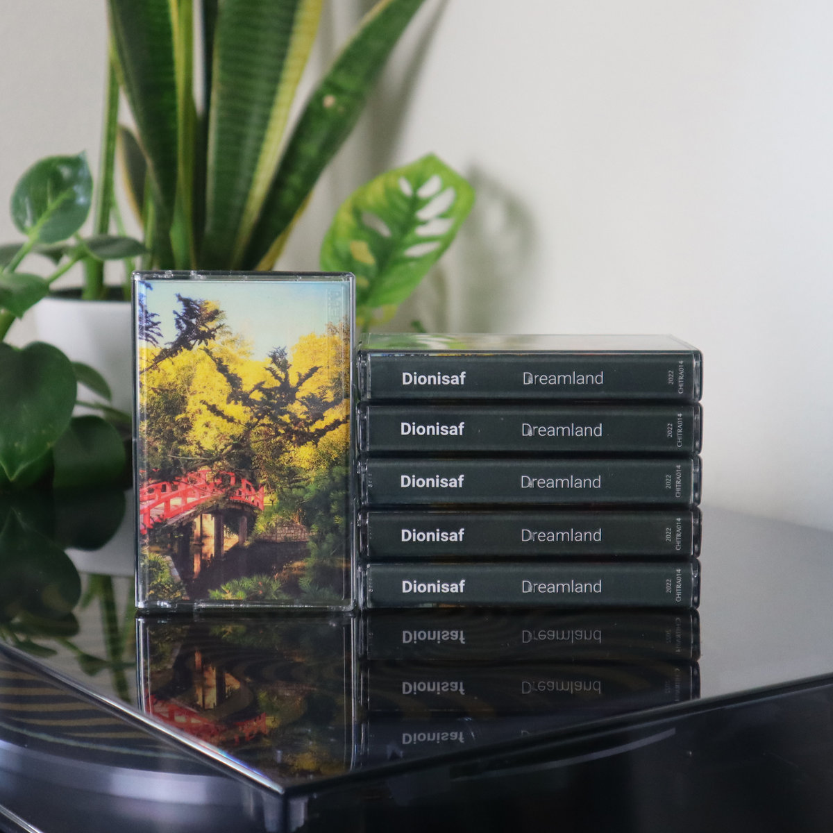 Dreamland | Dionisaf | Chitra Records