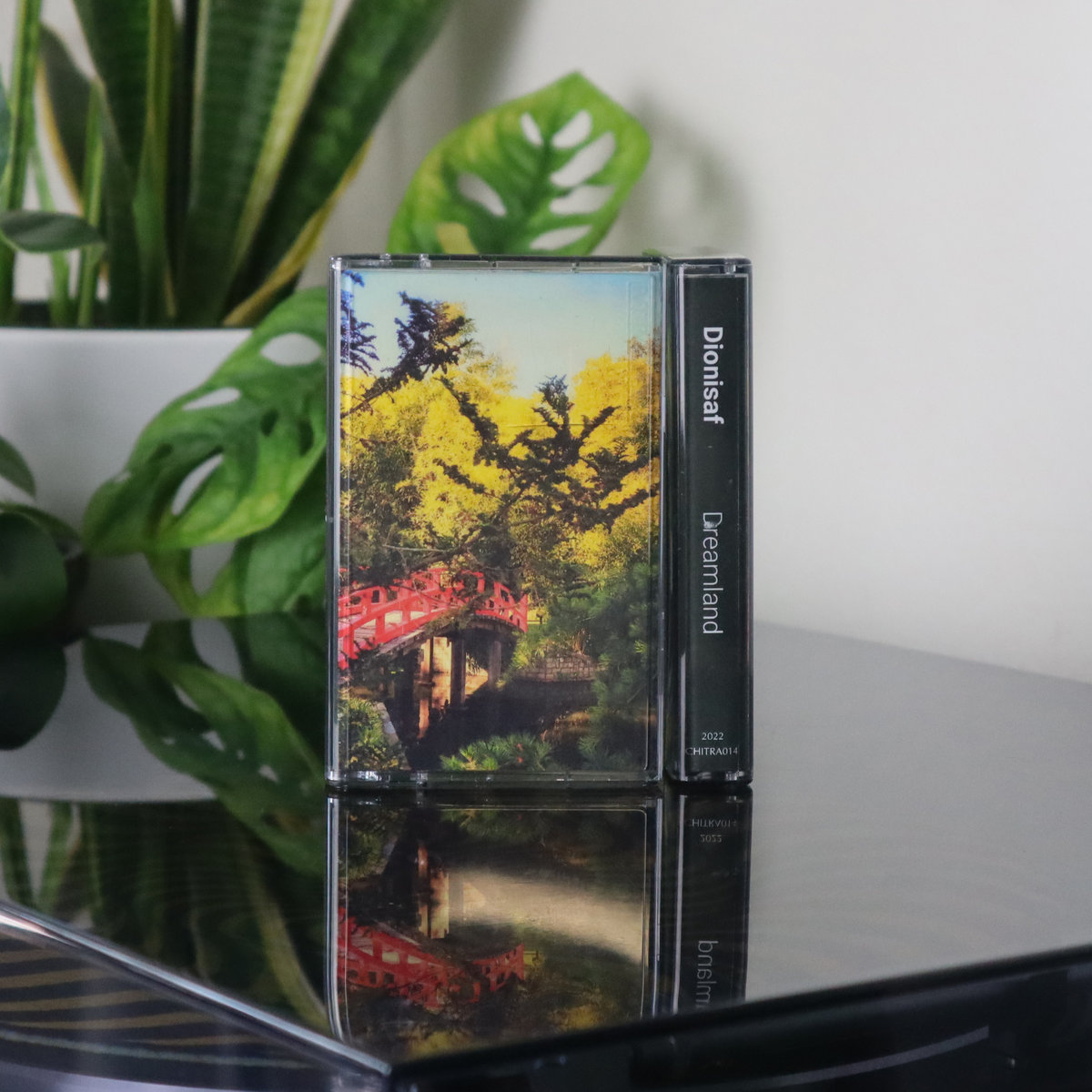 Dreamland | Dionisaf | Chitra Records