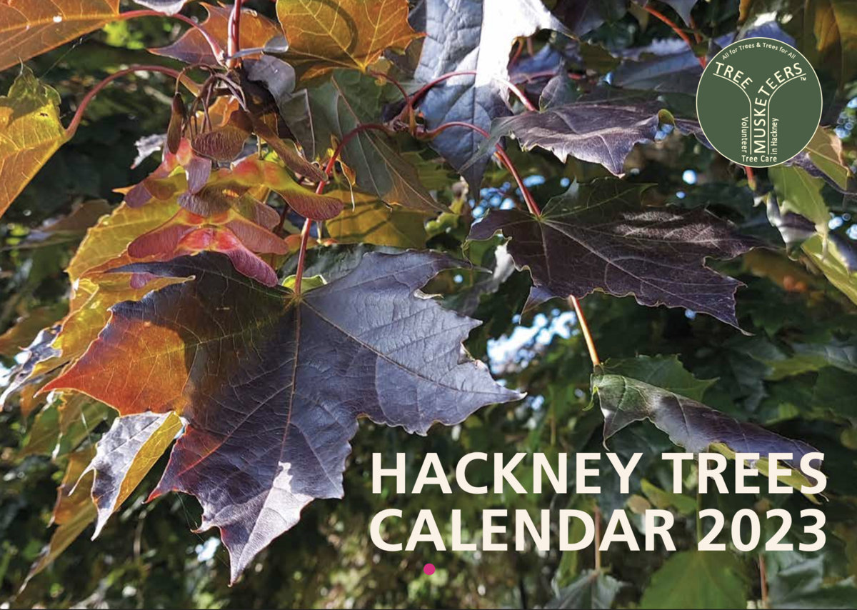 2023 Hackney Trees Calendar | Full Time Hobby