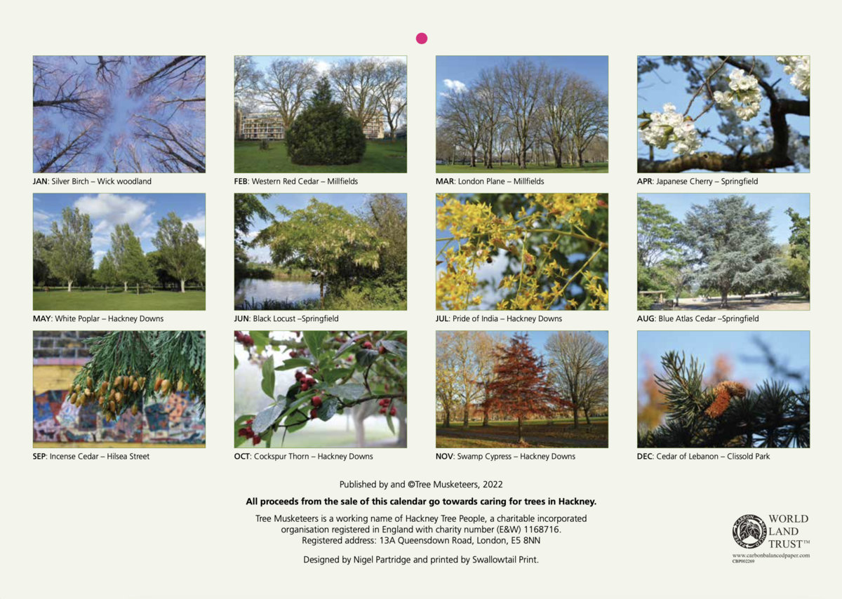 2023 Hackney Trees Calendar | Full Time Hobby