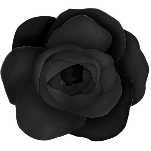 Everyday Things | Flower Loops