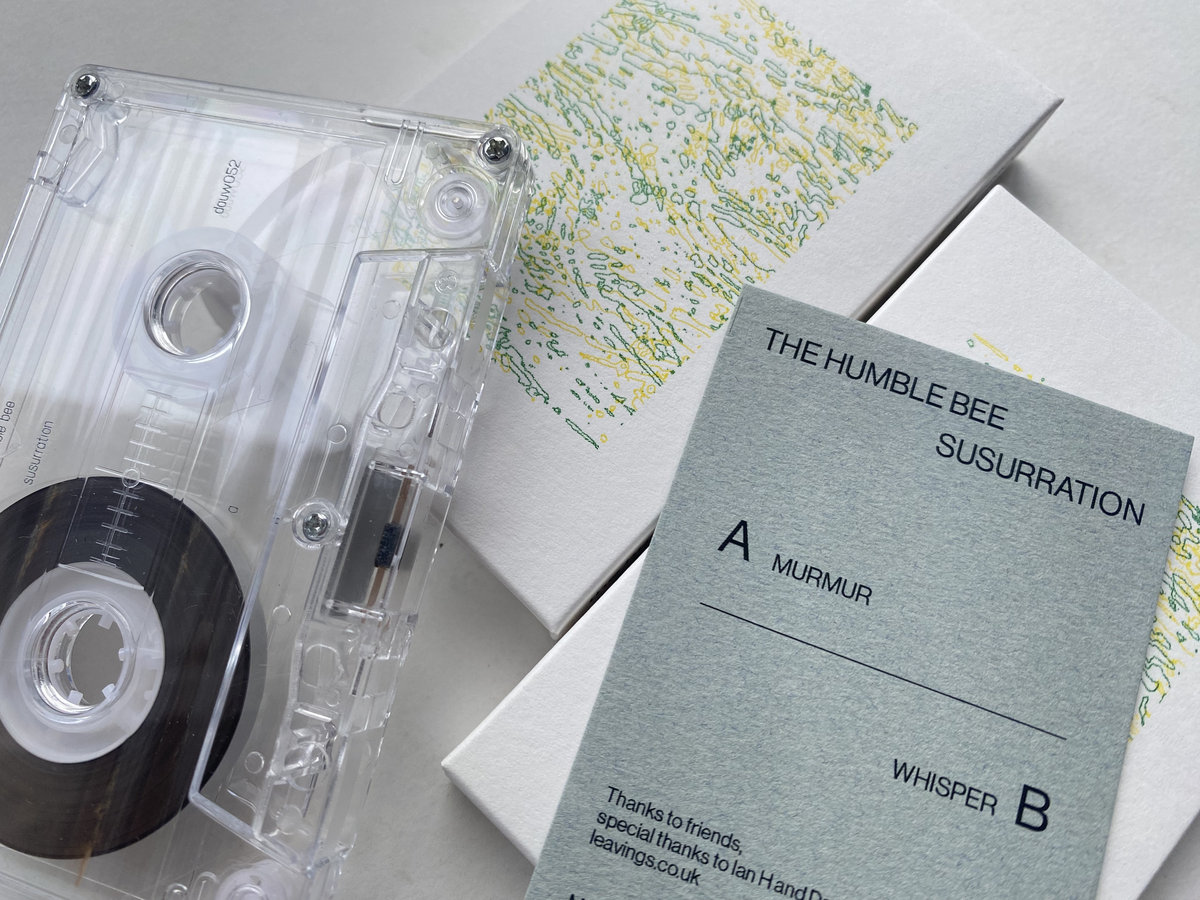 susurration | the humble bee