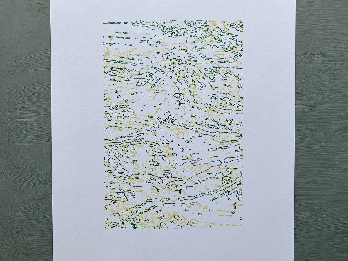 susurration | the humble bee