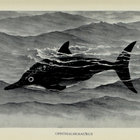 VOLCANIC BIRD ENEMY AND THE VOICED CONCERN | LIL UGLY MANE