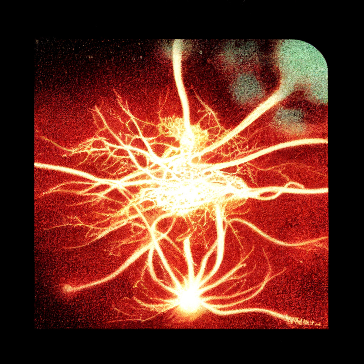 Order | Firing The Neurons