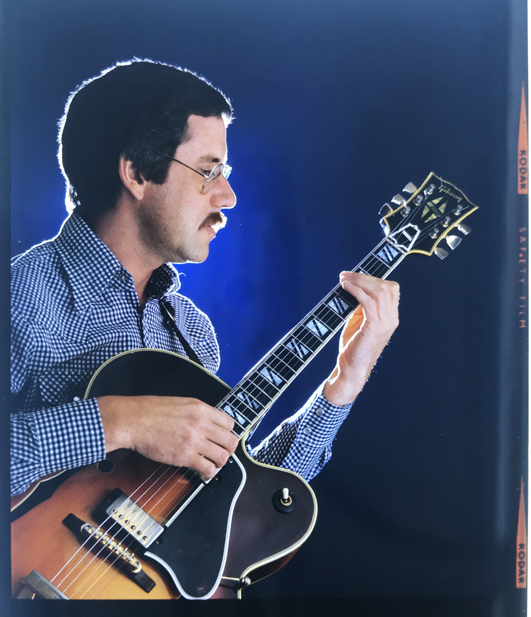 Out On His Own | Louis Stewart | Livia Records