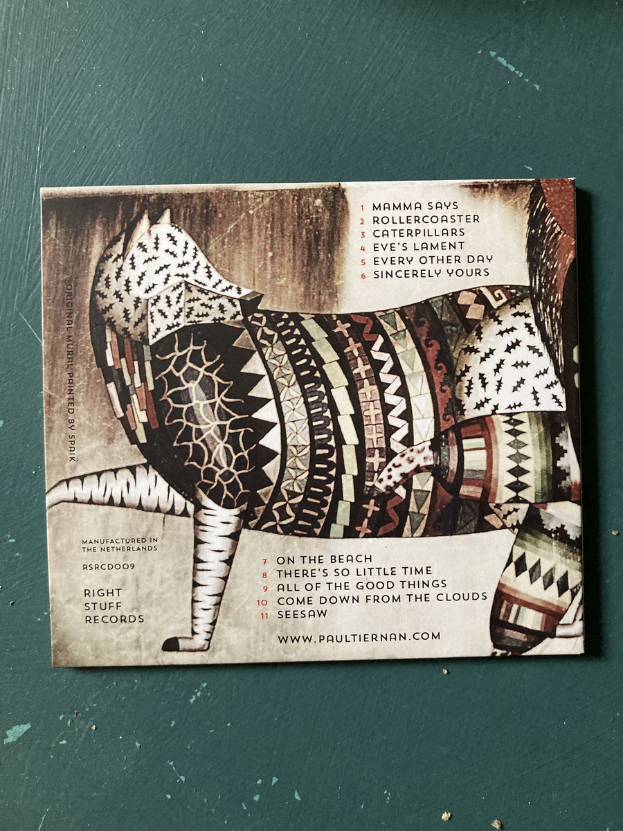 rollercoaster | Paul Tiernan