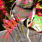 Antibirth: OST | mudeth