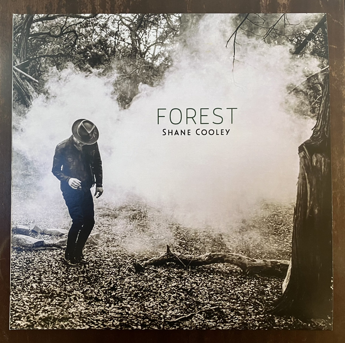 Forest | Shane Cooley