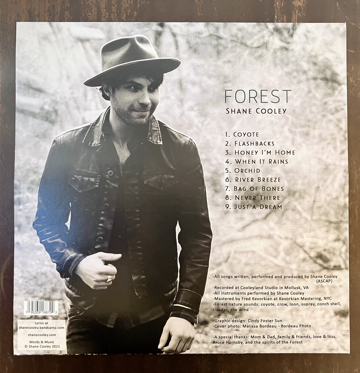 Forest | Shane Cooley