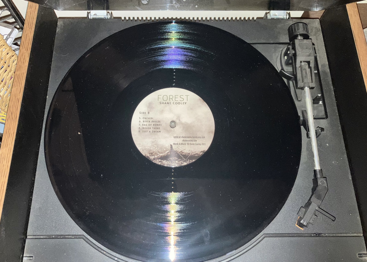 Forest | Shane Cooley