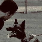 A Pact with the Devil LP | Catholic Spit