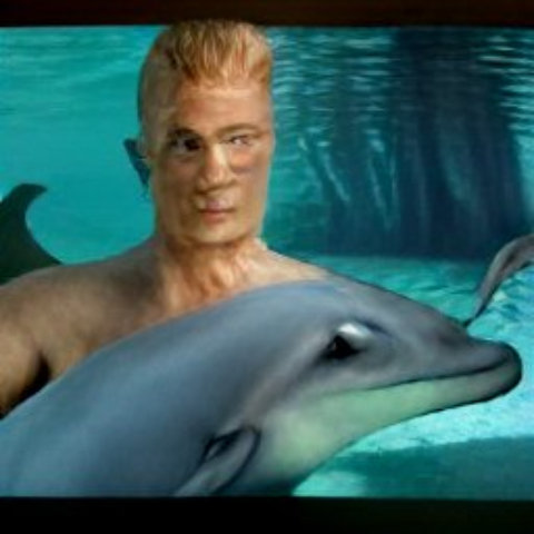 Dolphin Starship Reloaded | Dolphin Starship