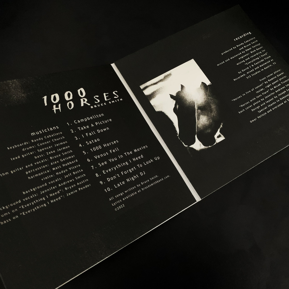 1000 Horses | The Bruce Smith Band