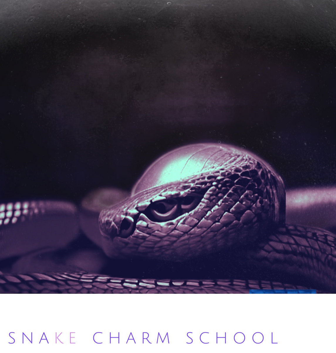 Secrets | Snake Charm School