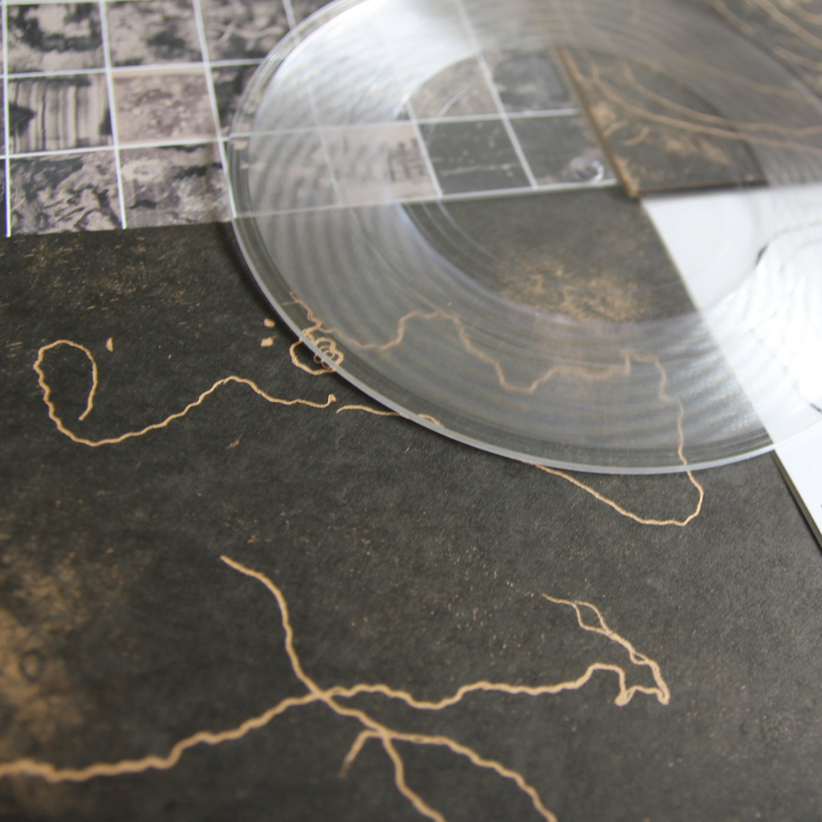 Restless Guests | Otis Jordan & Band | Otis Jordan