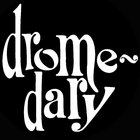 Sounds Like... | Florry