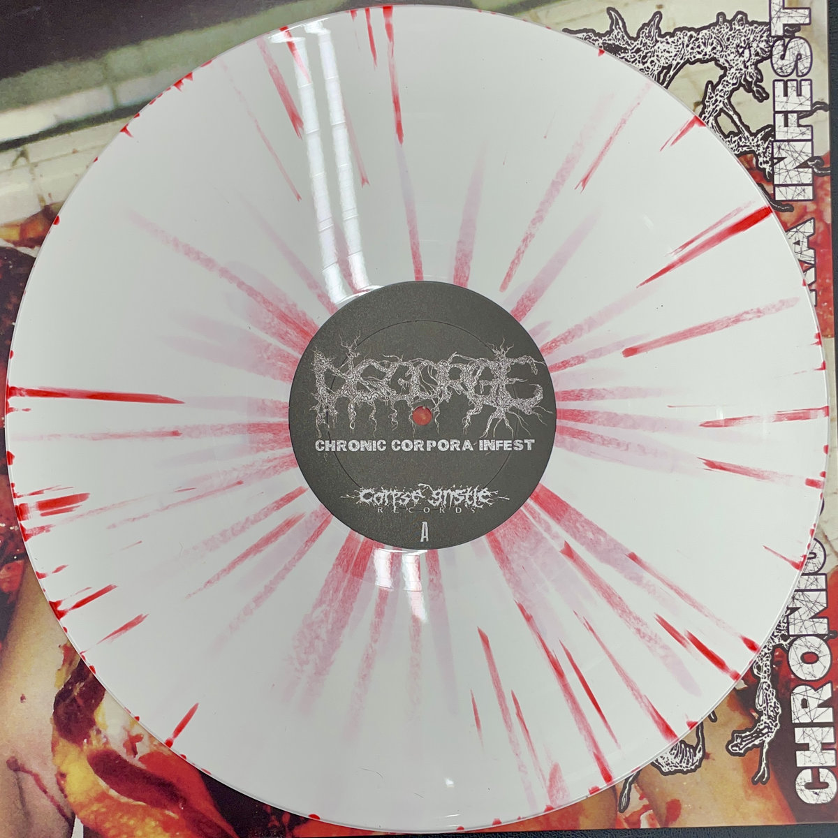 Chronic Corpora Infest | Disgorge | corpse gristle