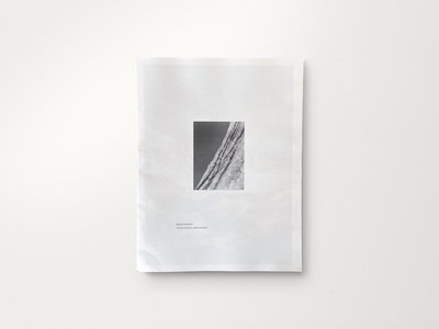 pablo diserens 'glacial meanders' | forms of minutiae